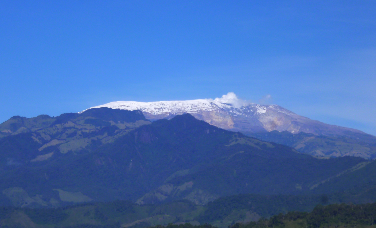 Ranita Dorada ProAves Reserve - Conservation Co