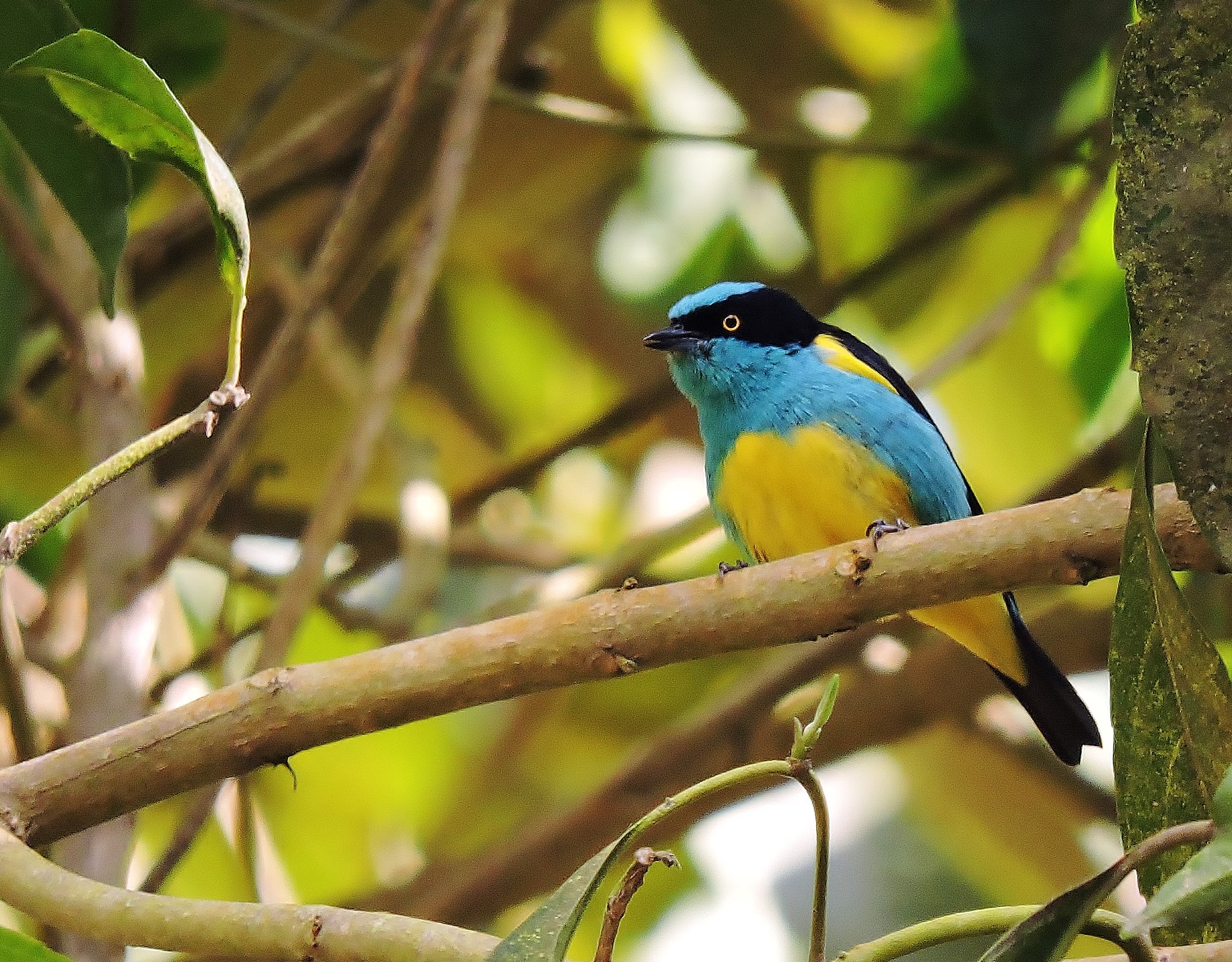 Reservar - Conservation Co