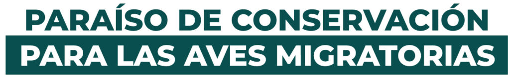 Reserva Natural Reinita Cielo Azul - Conservation Co